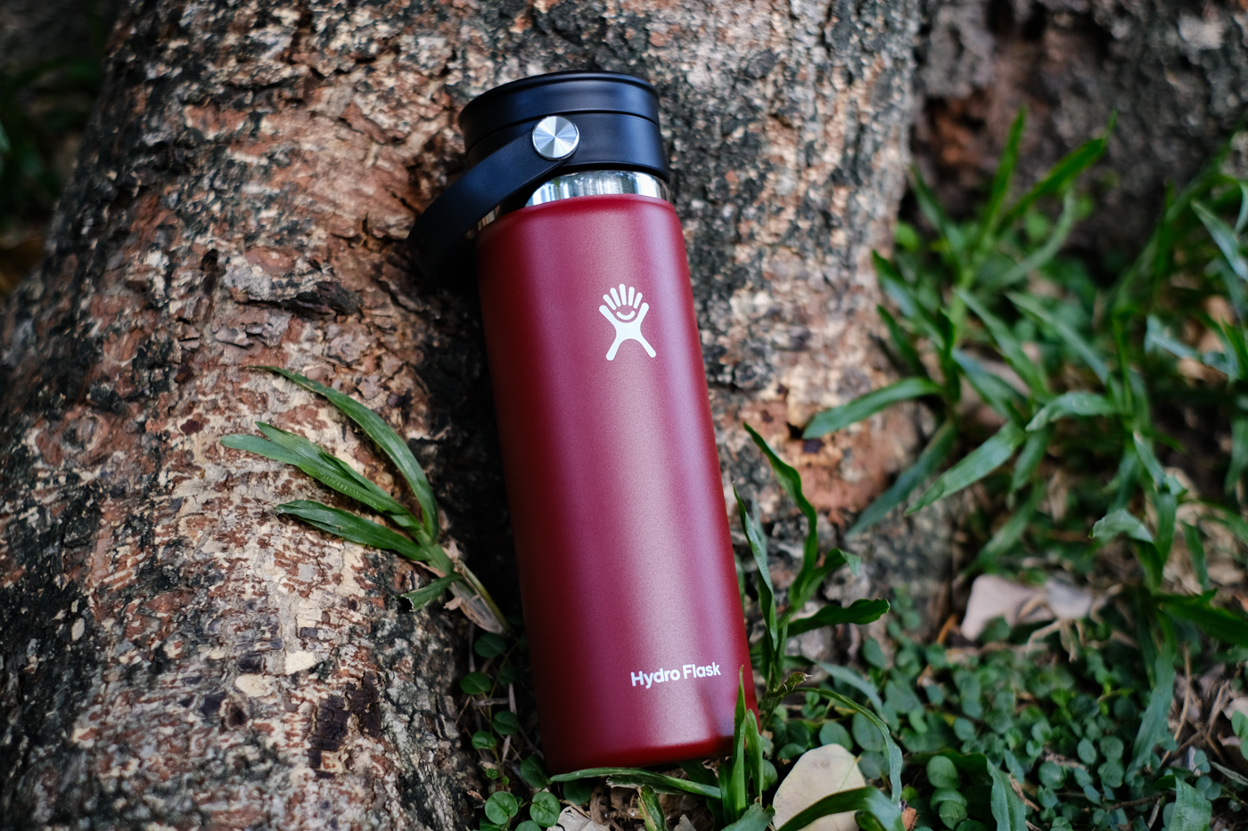 Hydro Flask กระบอกน้ำและแก้วเก็บขาวเย็นสีใหม่ Berry สวยโดดเด่น และ ...